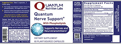 essential nutrients for brain vitality