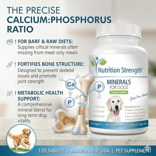 essential nutrients for canine wellness