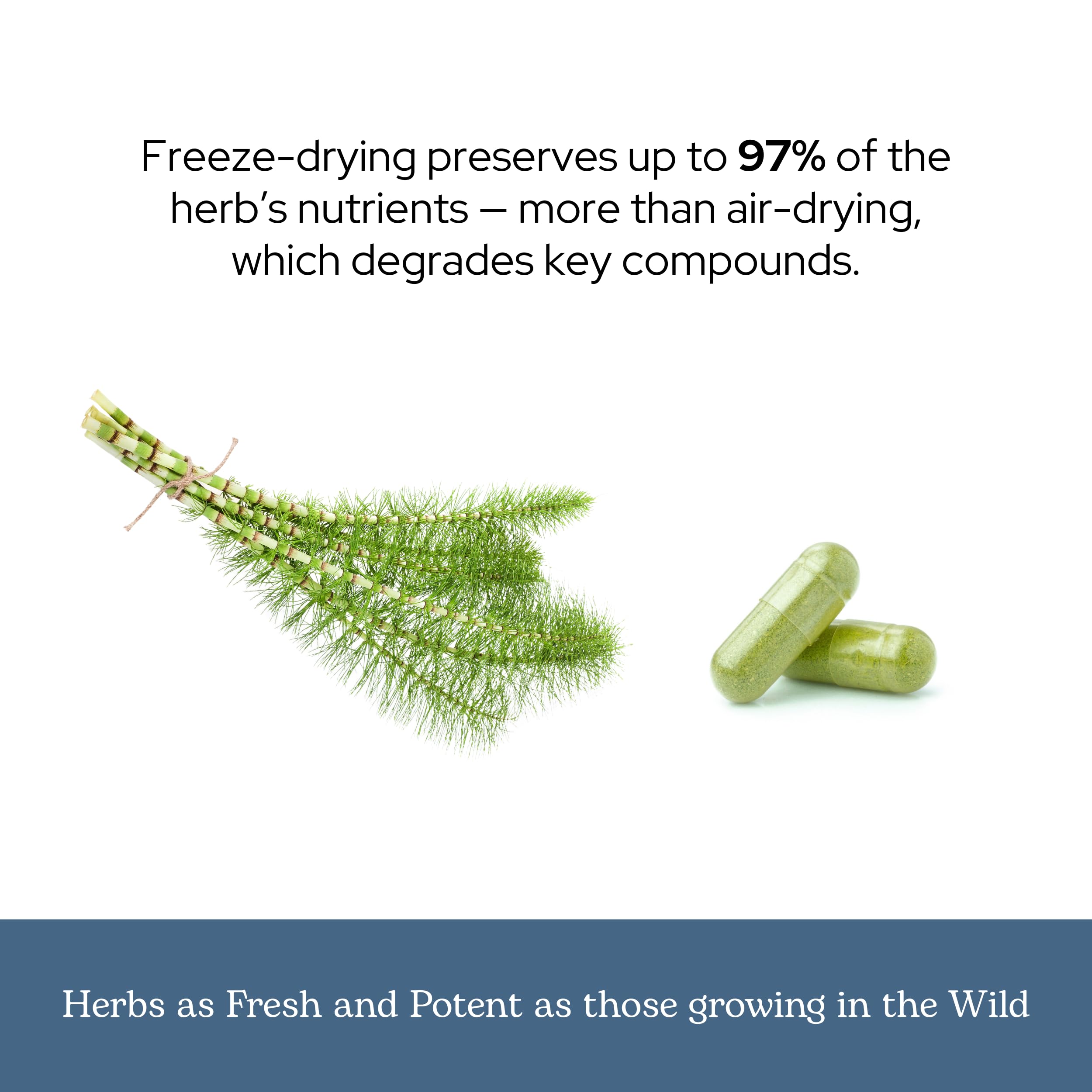 essential nutrients for hair growth