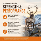 essential nutrients for men's wellness