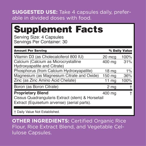 essential nutrients for optimal bone support