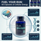 essential nutrients for optimal health