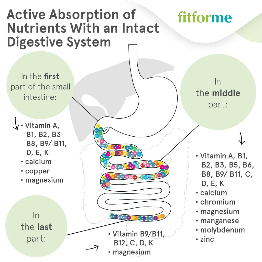 essential nutrients for post-surgery recovery