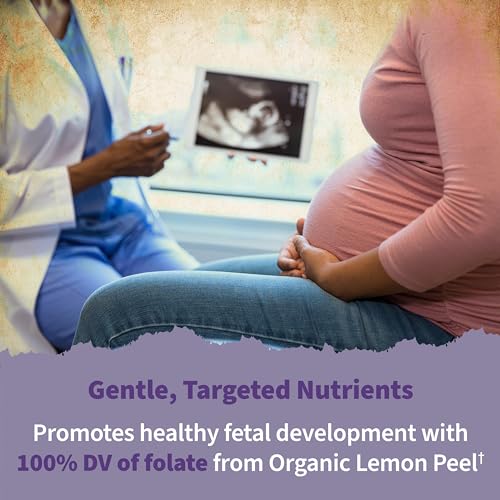 essential nutrients for pregnancy health