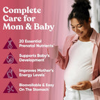 essential nutrients for pregnancy health