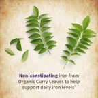 essential nutrients for pregnancy health