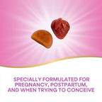 essential nutrients for pregnancy health