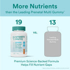 essential nutrients for pregnancy health