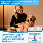 Essential nutrients for pregnant dogs