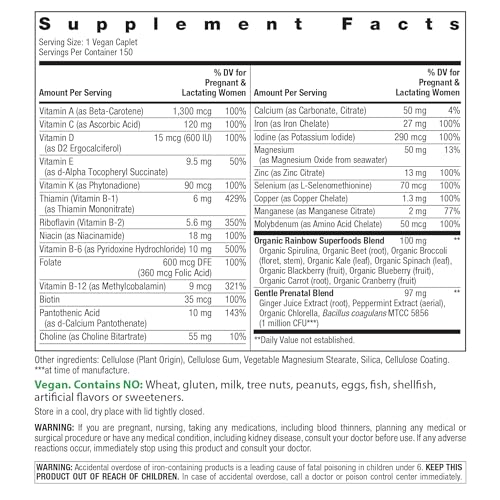 essential nutrients in prenatal multivitamin