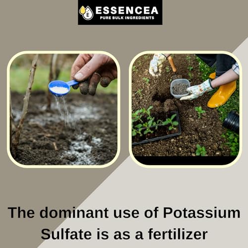 essential potassium for optimal health
