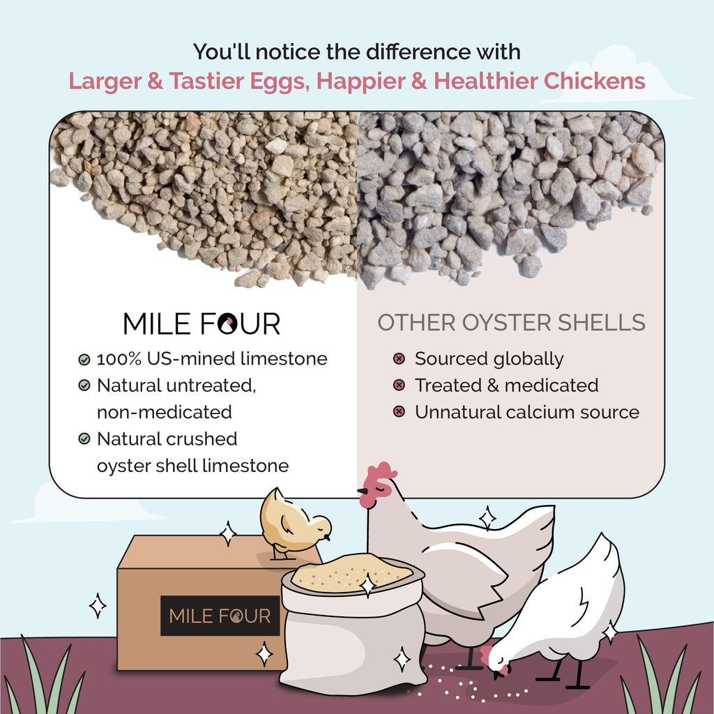 Essential poultry feed for laying hens' health