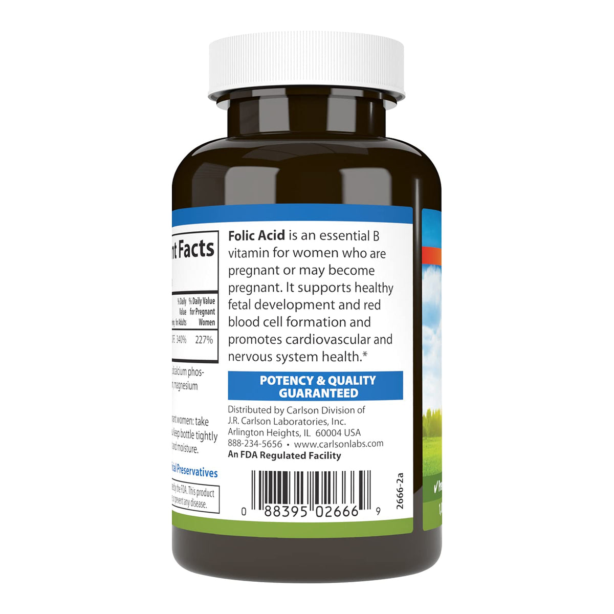 essential prenatal vitamin supplement