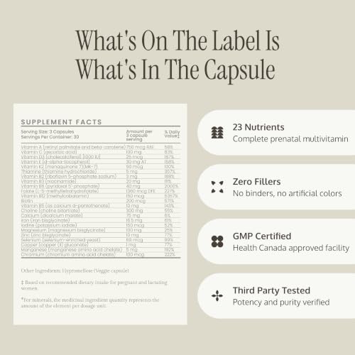 Essential prenatal vitamins for fetal health
