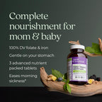essential prenatal vitamins for pregnancy