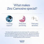 Essential Stacks Zinc for digestive wellness