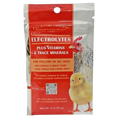 essential trace minerals for all ages