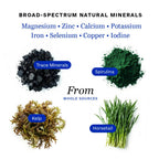 Essential trace minerals for daily health