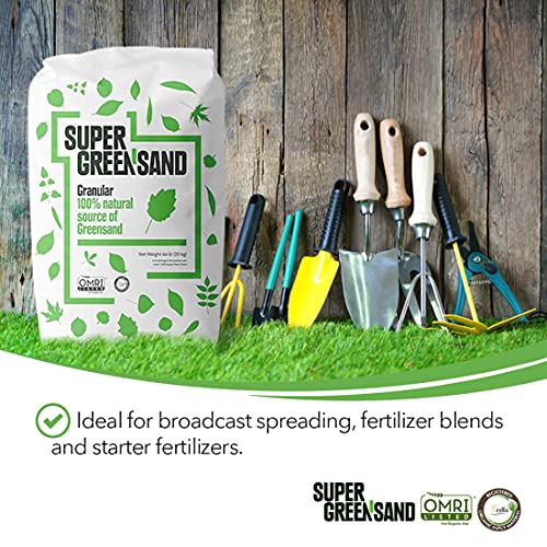 essential trace minerals for daily use