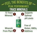 essential trace minerals for health