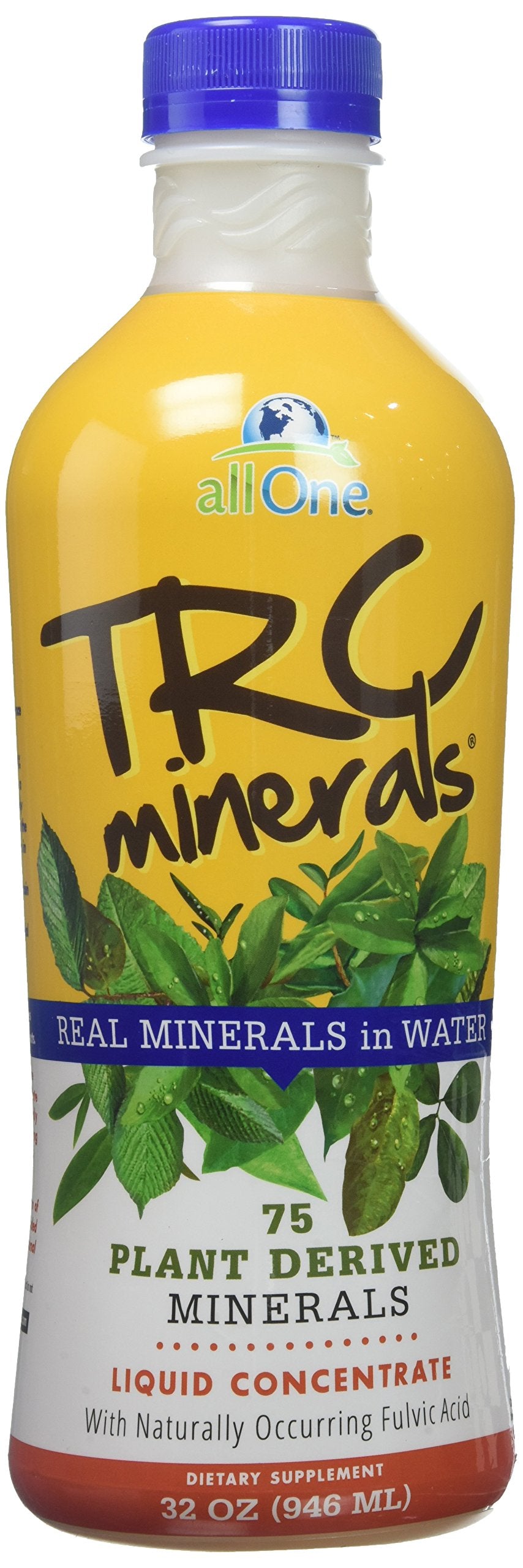 essential trace minerals for health