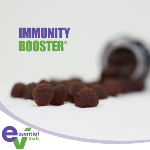 Essential Vitals elderberry gummy benefits