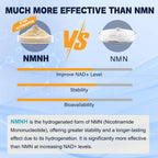 Essential vitamin b complex for vitality