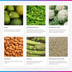 essential vitamin b complex for vitality