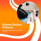 essential vitamin b complex for wellness
