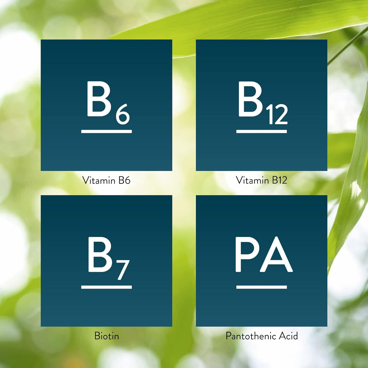 Essential vitamin b complex for wellness