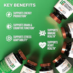 essential vitamin b complex formula