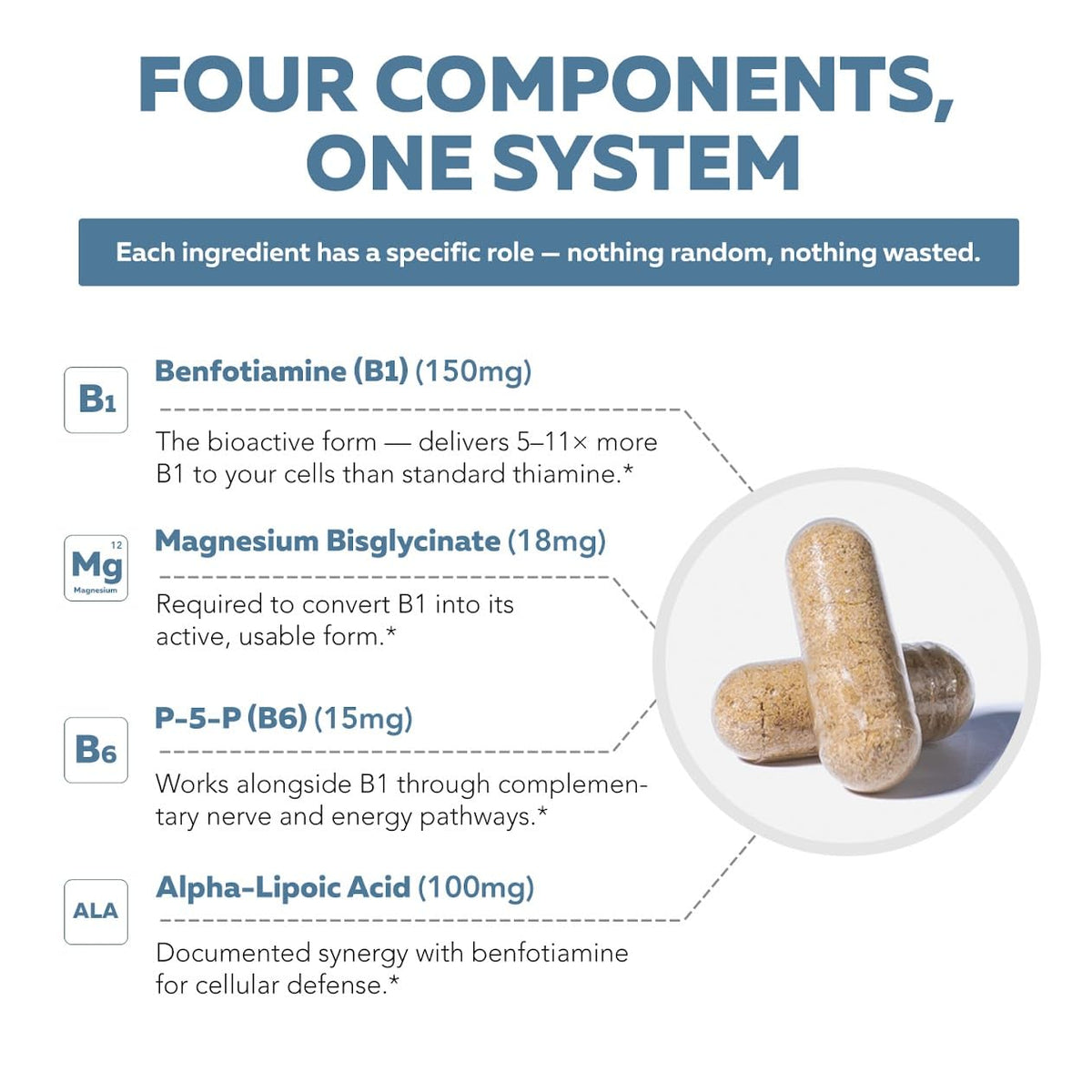 Essential Vitamin B1 for metabolism