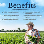 essential vitamin B12 for vegans