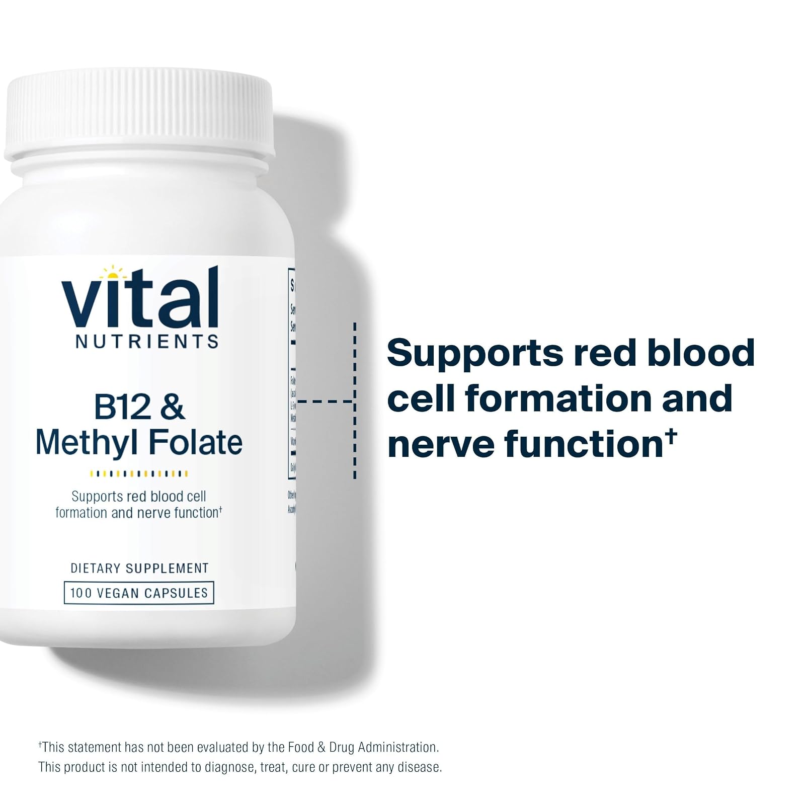 essential vitamin b12 for vegans