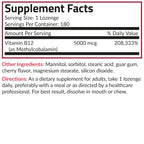 essential vitamin B12 for vegans