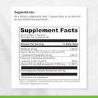 essential vitamin b12 for wellness