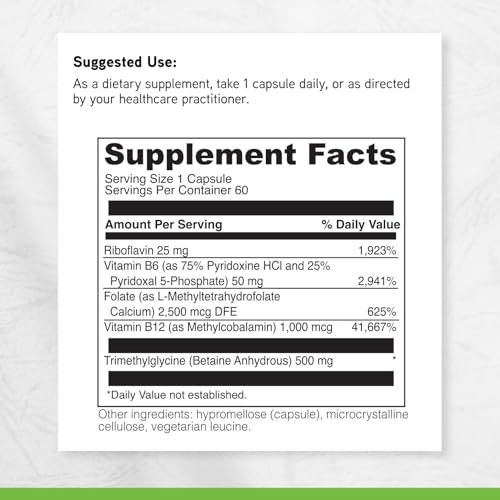 essential vitamin b12 for wellness