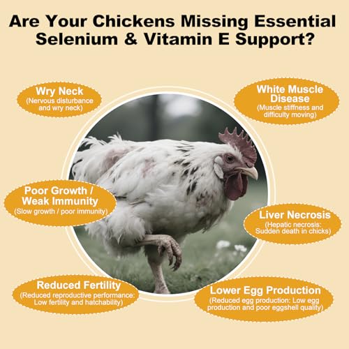 Essential vitamin support for birds
