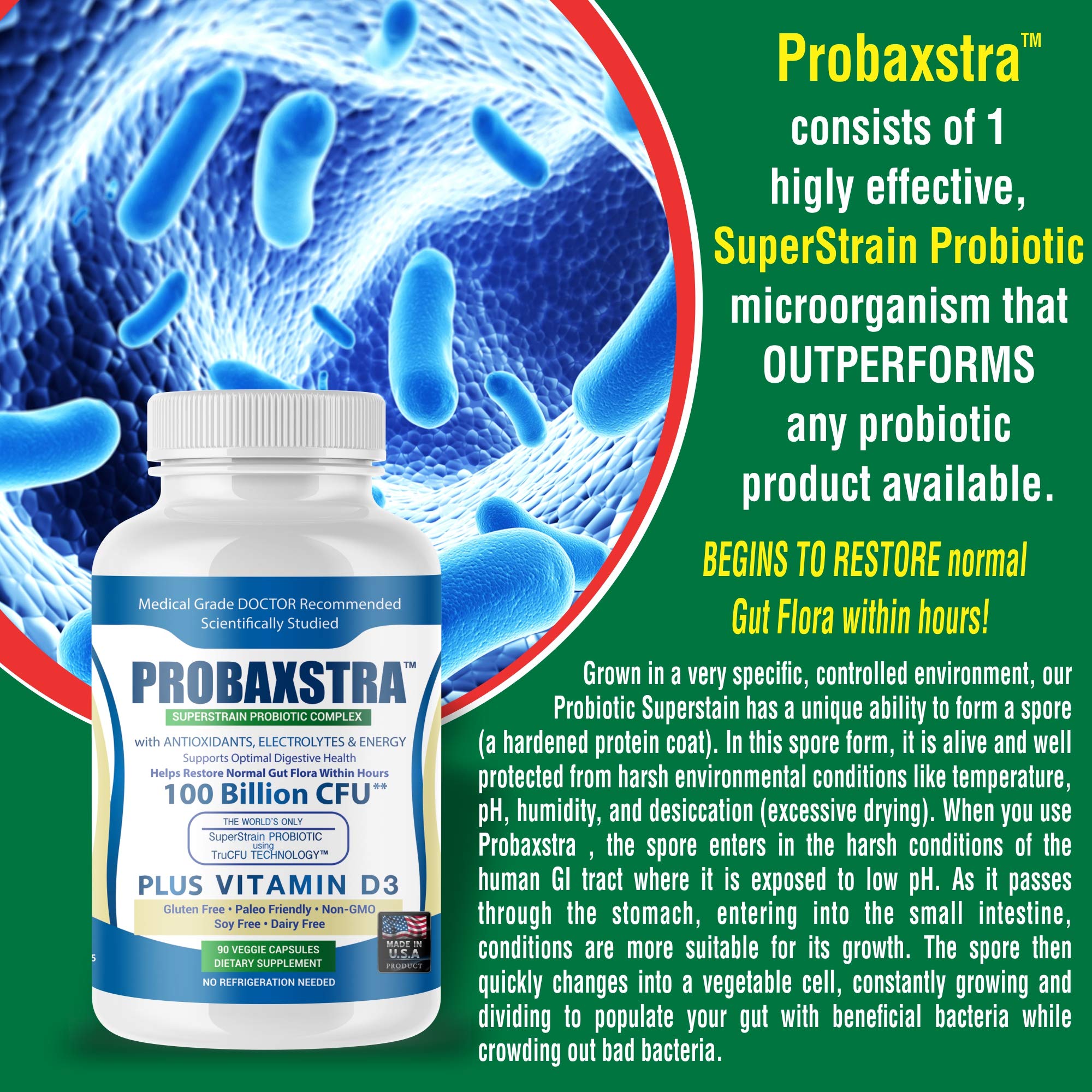 Essential vitamins and minerals blend