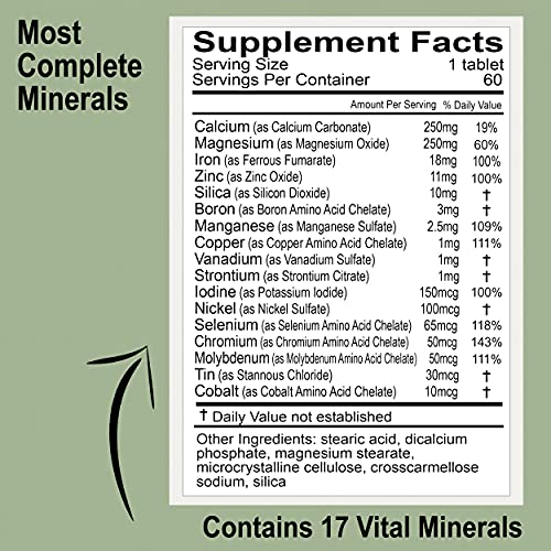 essential vitamins and minerals for energy