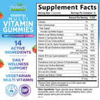 essential vitamins and minerals in gummies