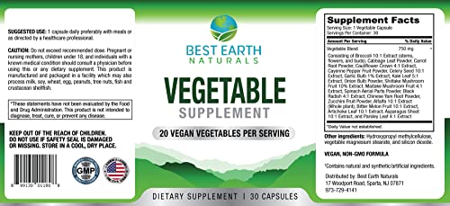 essential vitamins for active lifestyles