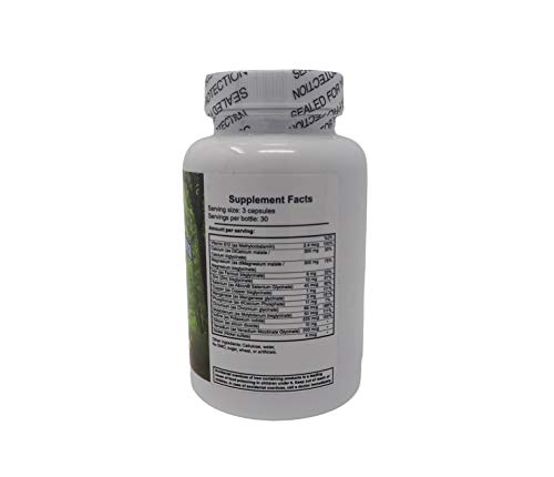 essential vitamins for daily health