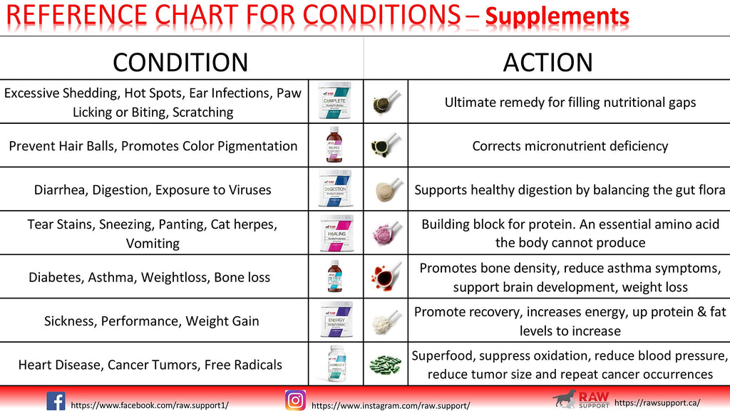 essential vitamins for daily wellness