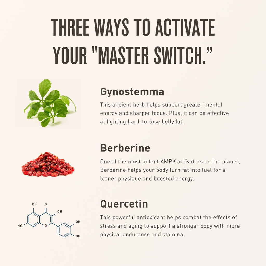 essential vitamins for energy and focus
