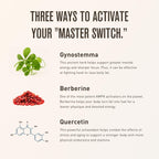 essential vitamins for energy and focus