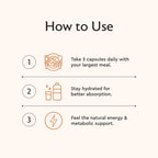 Essential vitamins for energy production