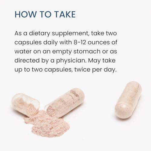 essential vitamins for everyday wellness