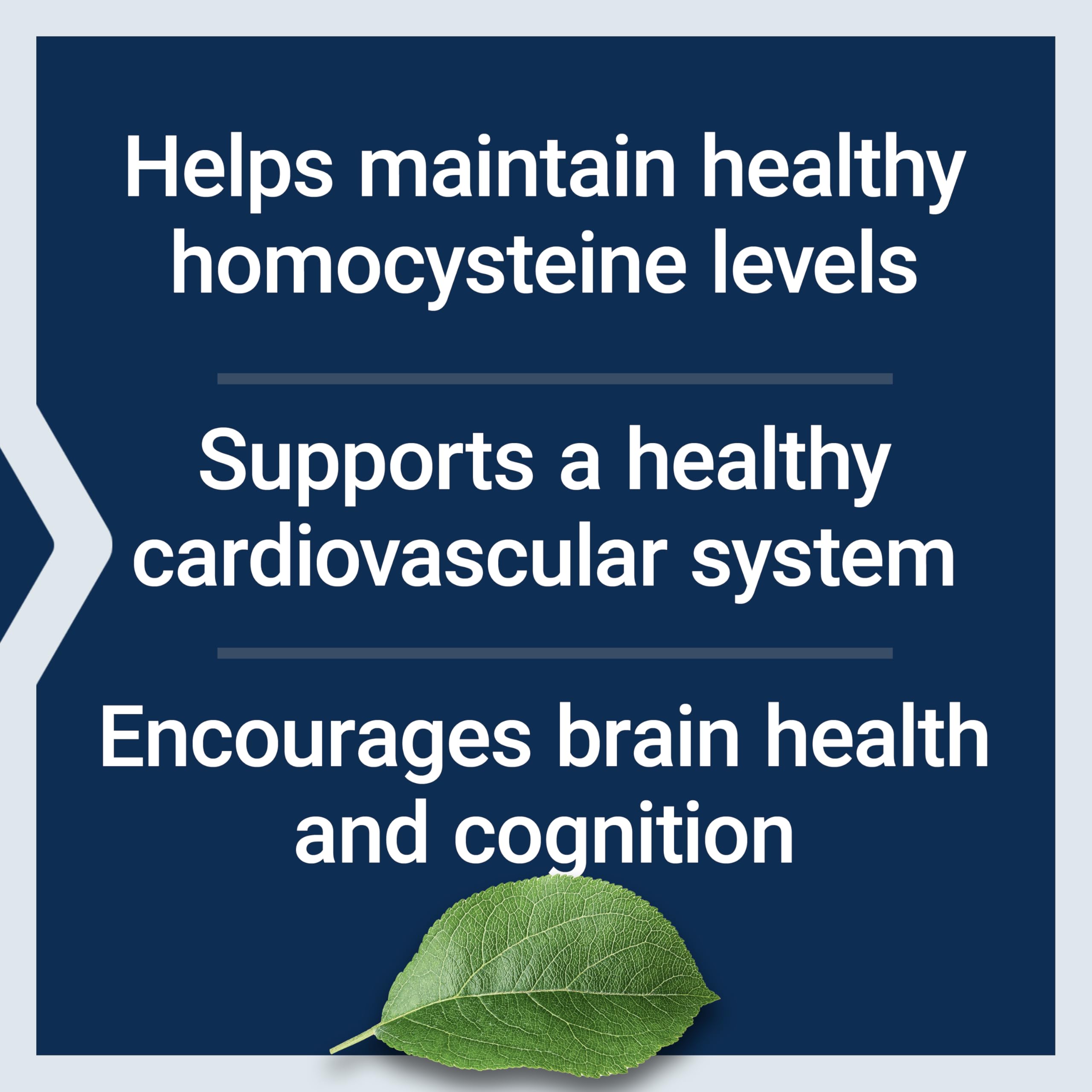 essential vitamins for healthy homocysteine levels
