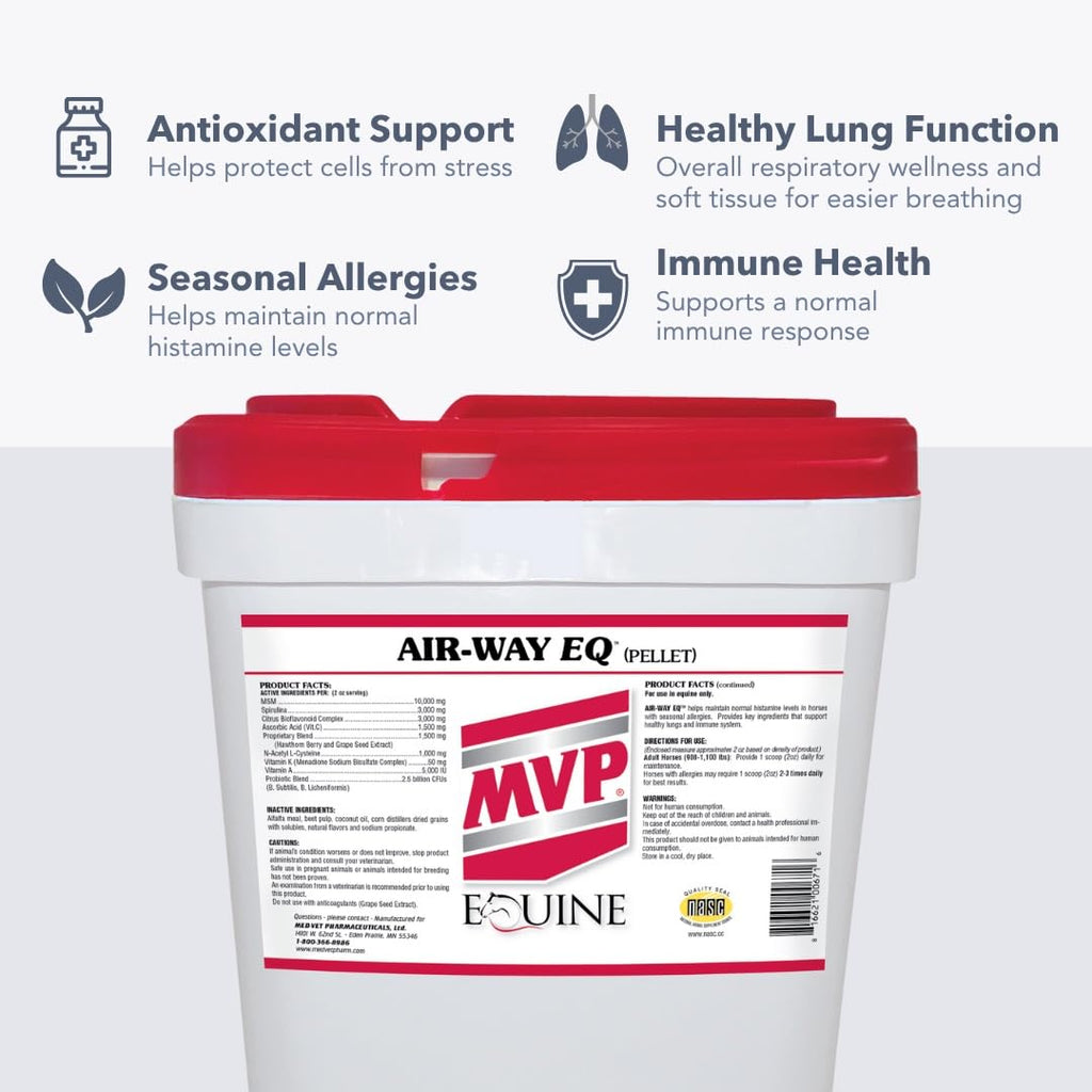 essential vitamins for horse health